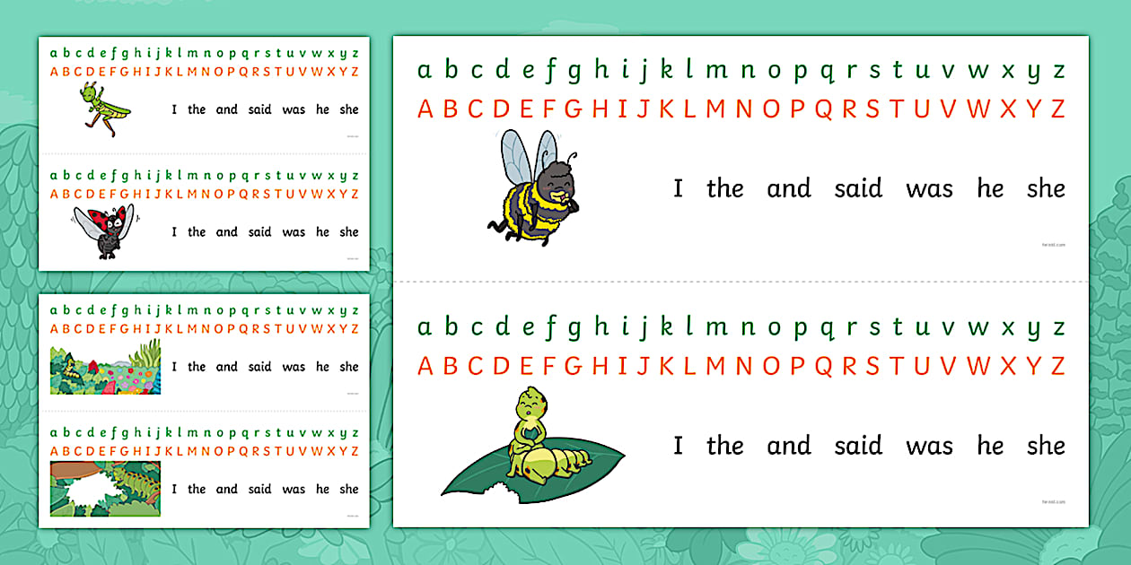 The Cautious Caterpillar: Minibeast Alphabet Strips - Twinkl