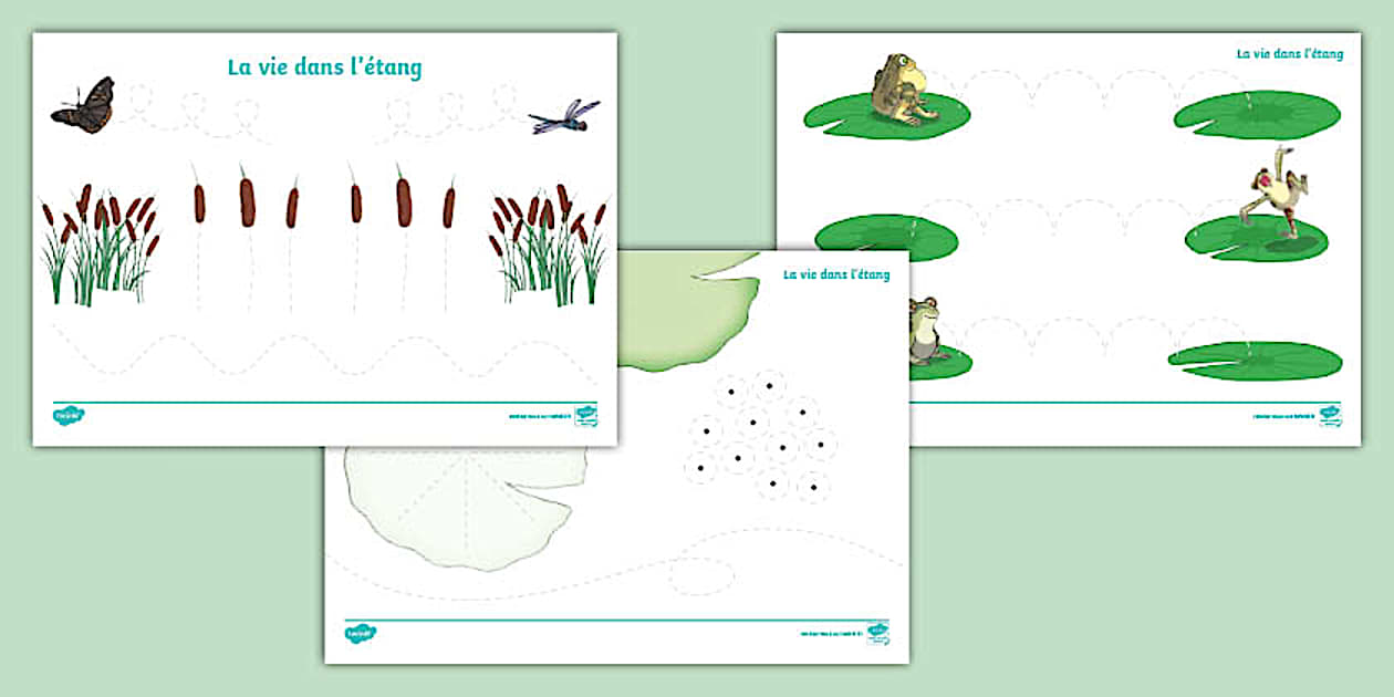 * NEW * Activité de graphisme : La vie dans l'étang