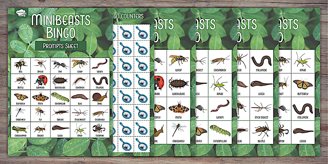 Minibeasts Bingo Game Printable | Twinkl Party