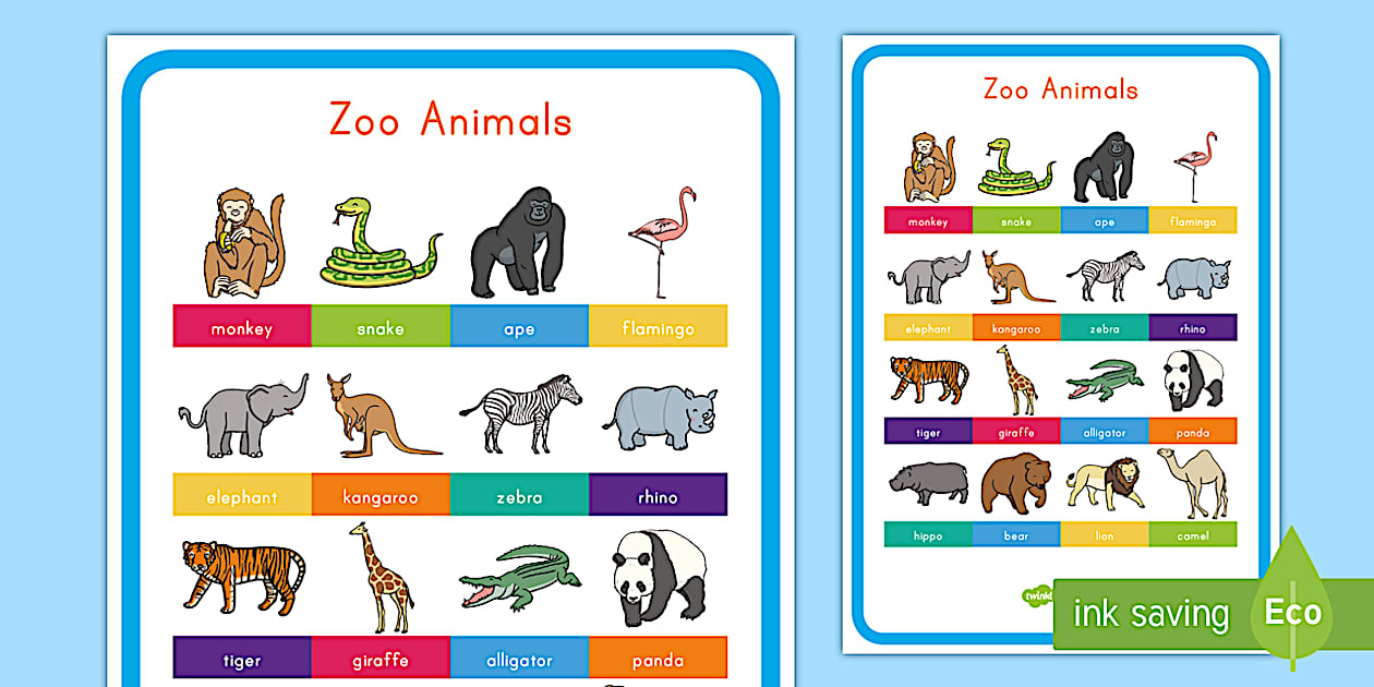 Zoo Animals Display Poster