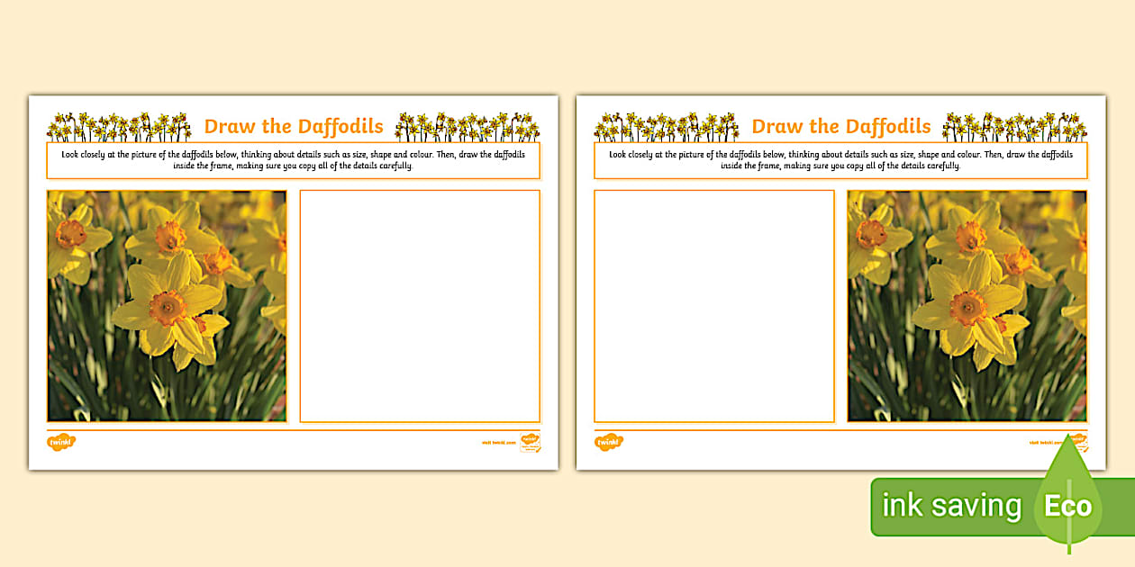 Draw the Daffodils Art Activity (teacher made) - Twinkl