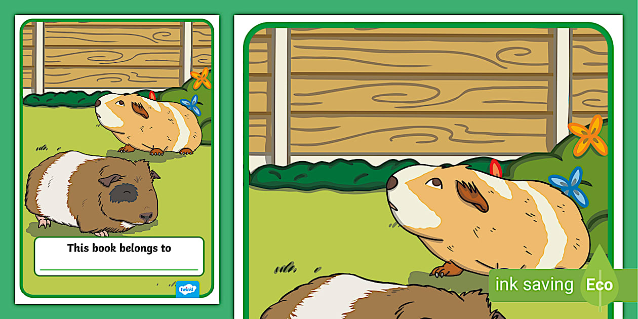 Guinea Pig Themed Book Cover | Twinkl | Stationery | KS1