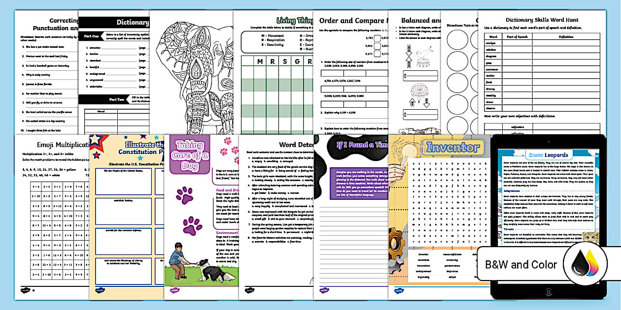 3rd Grade Spring Sub Teacher Resources | Twinkl USA - Twinkl