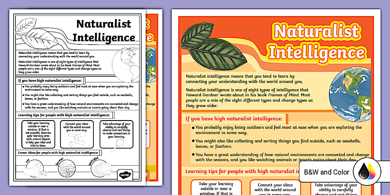 Naturalist Intelligence Poster (teacher made) - Twinkl