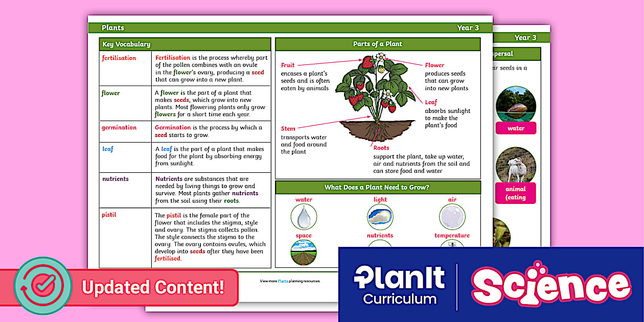 Y3 Plants: Knowledge Organiser - Twinkl