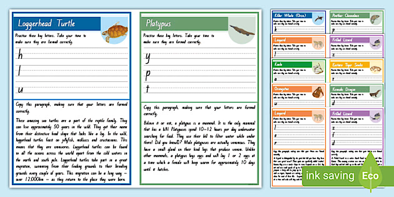 Animal Handwriting Cards (teacher made) - Twinkl