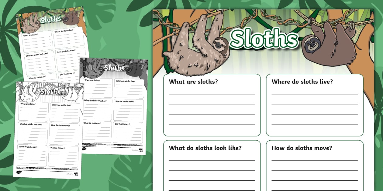 KS1 Sloth Fact File Template - Twinkl Writing (Teacher-Made)
