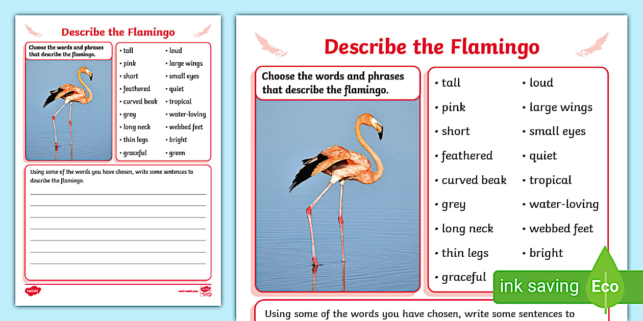 Describe the Flamingo Writing Activity,flamingo - Twinkl
