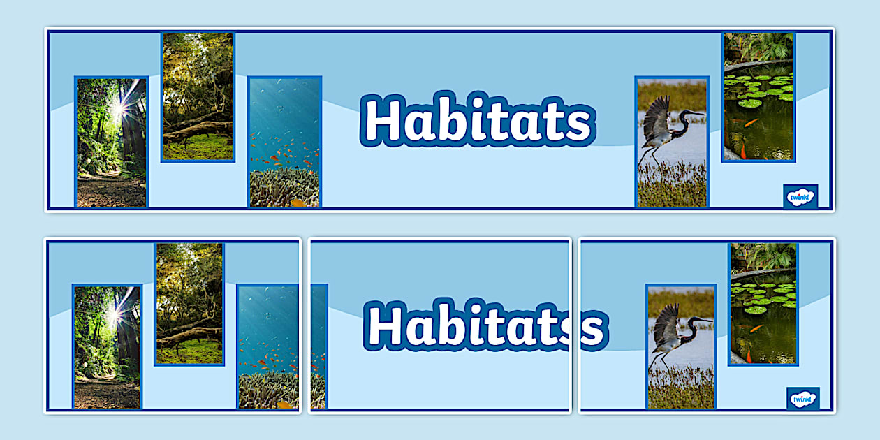 Habitats Photo Display Banner (teacher made) - Twinkl