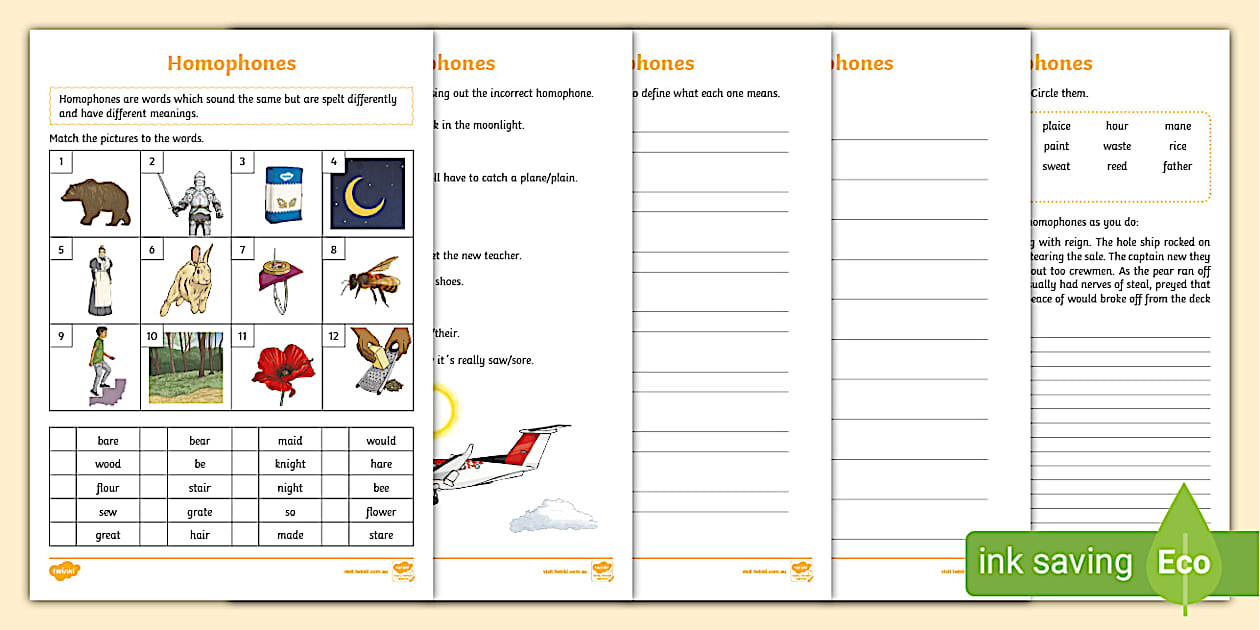 Homophones Worksheets | Years 3-4 English | Twinkl - Twinkl