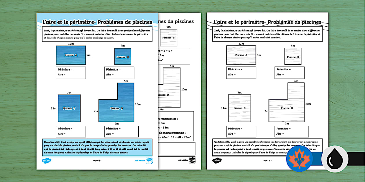 Area and Perimeter Pool Problems French (teacher made)