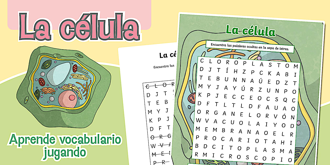 Sopa de letras: La célula