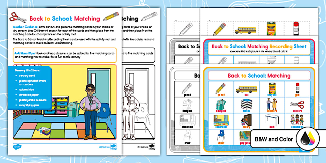 Back to School Sensory Bin | Back to School | Twinkl USA