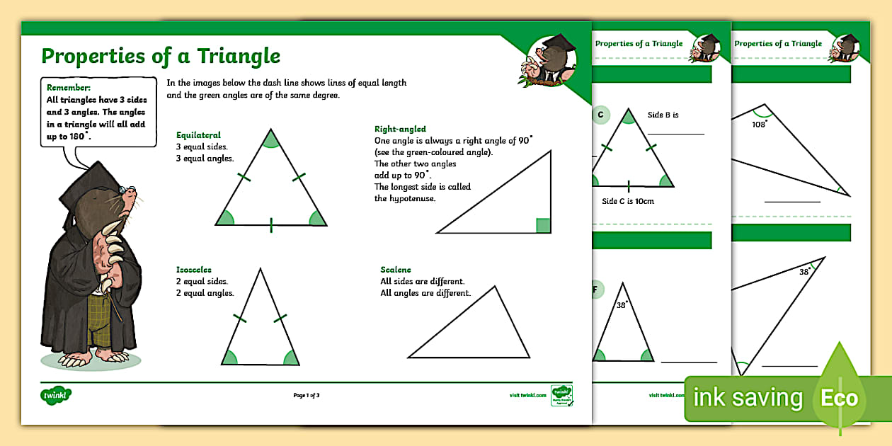 Properties of a Triangle Information Sheet (teacher made)