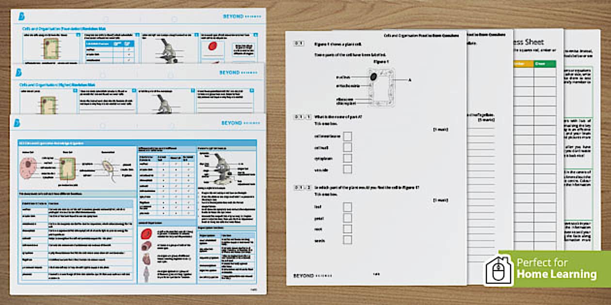 KS3 Cells and Organisation Revision Pack | Beyond - Twinkl