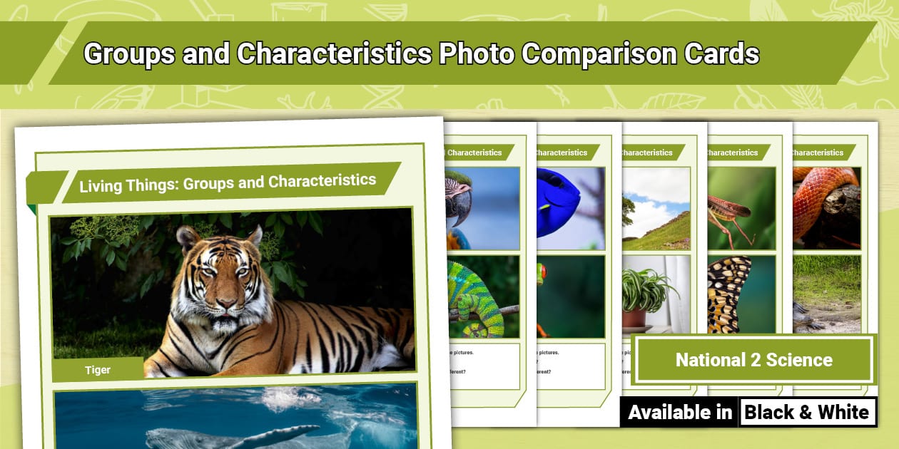 Groups and Characteristics of Living Things Comparison Cards