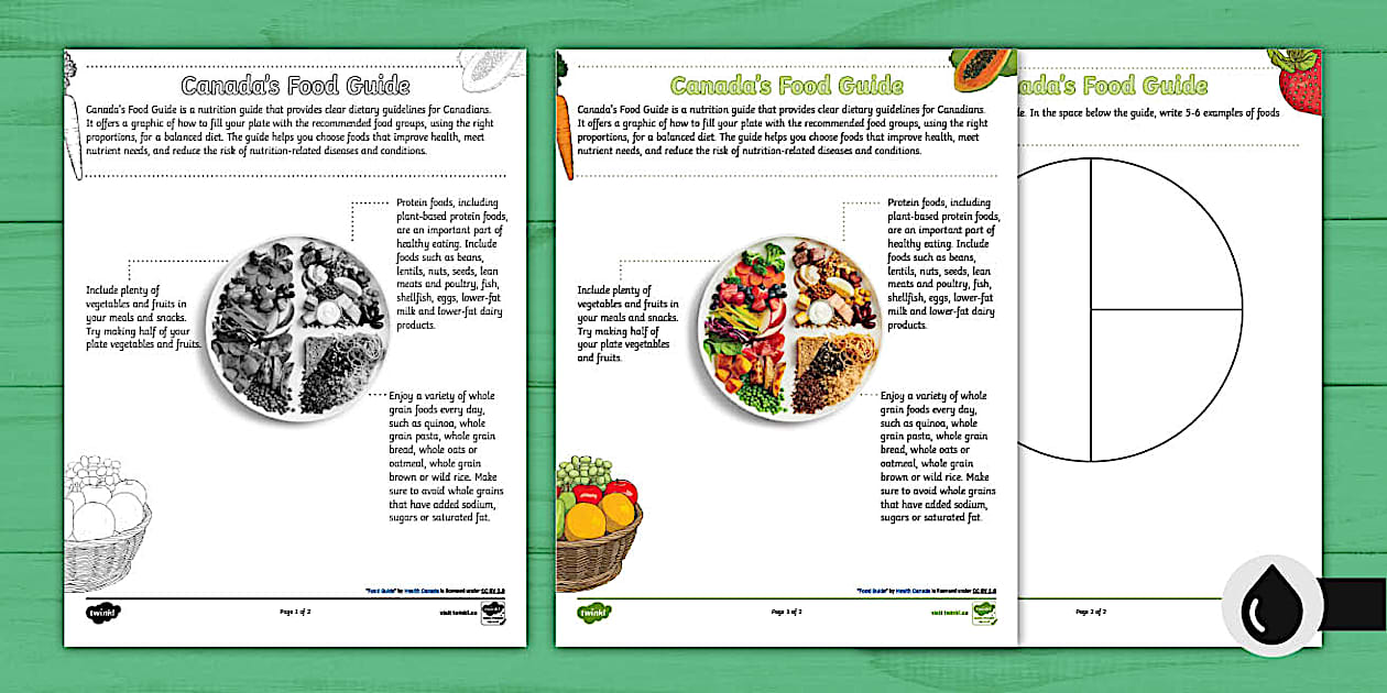 Canada's Food Guide | Food Groups in Canada - Twinkl