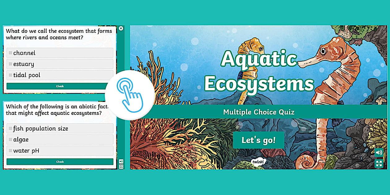 Aquatic Ecosystems Quiz | World Oceans Day | Twinkl USA