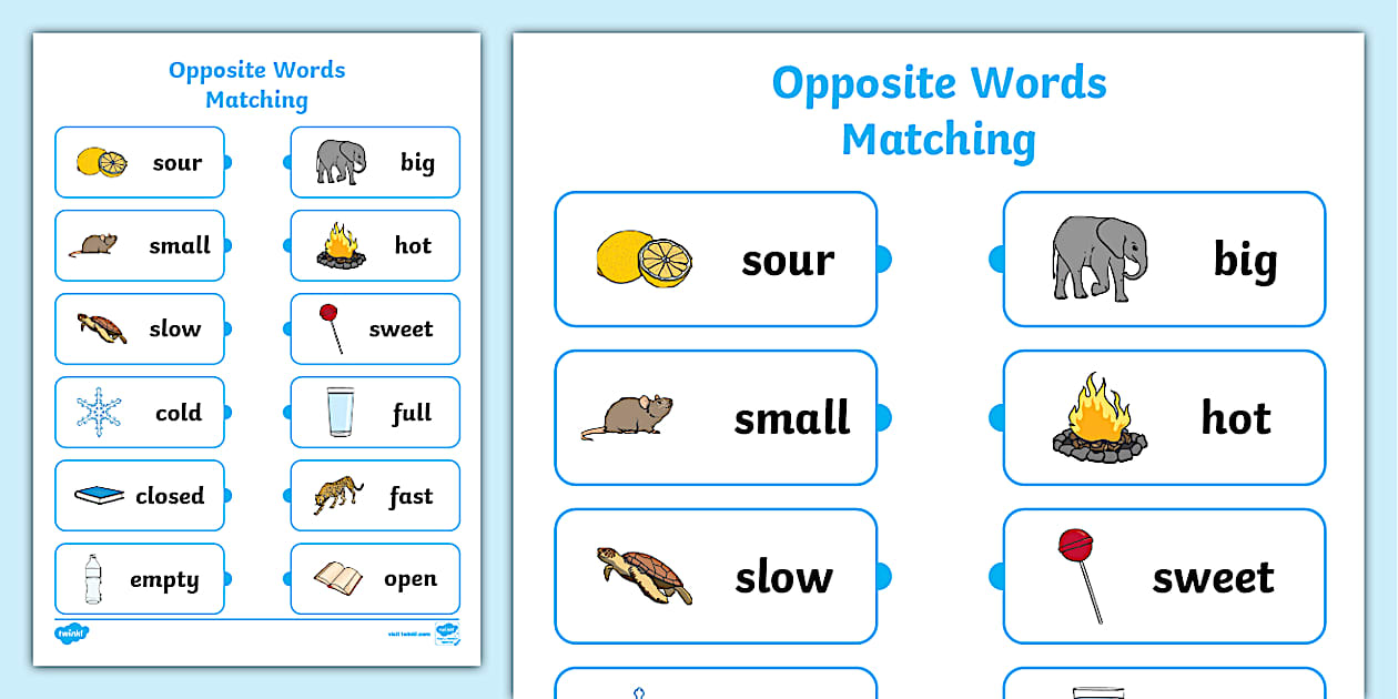 Opposites Worksheet | Opposite Words Matching Activity