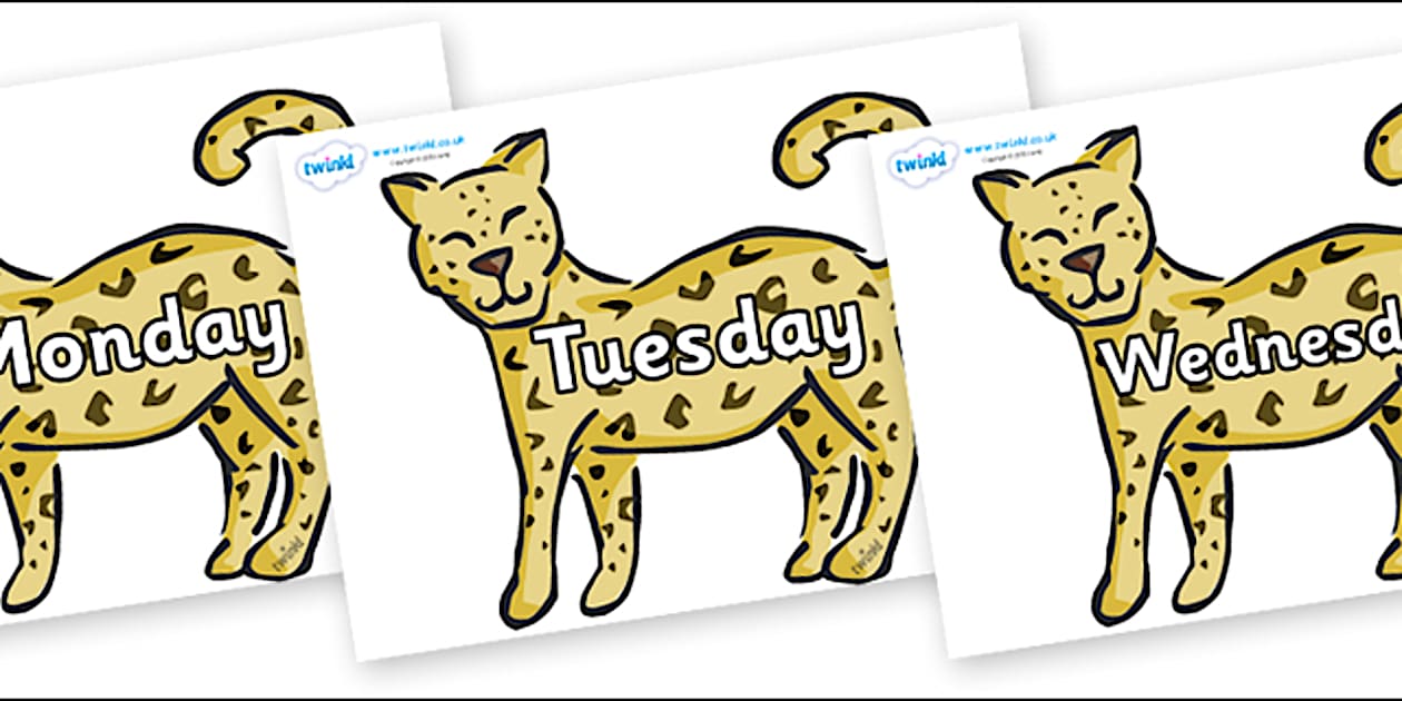 Days of the Week on Leopards (teacher made) - Twinkl