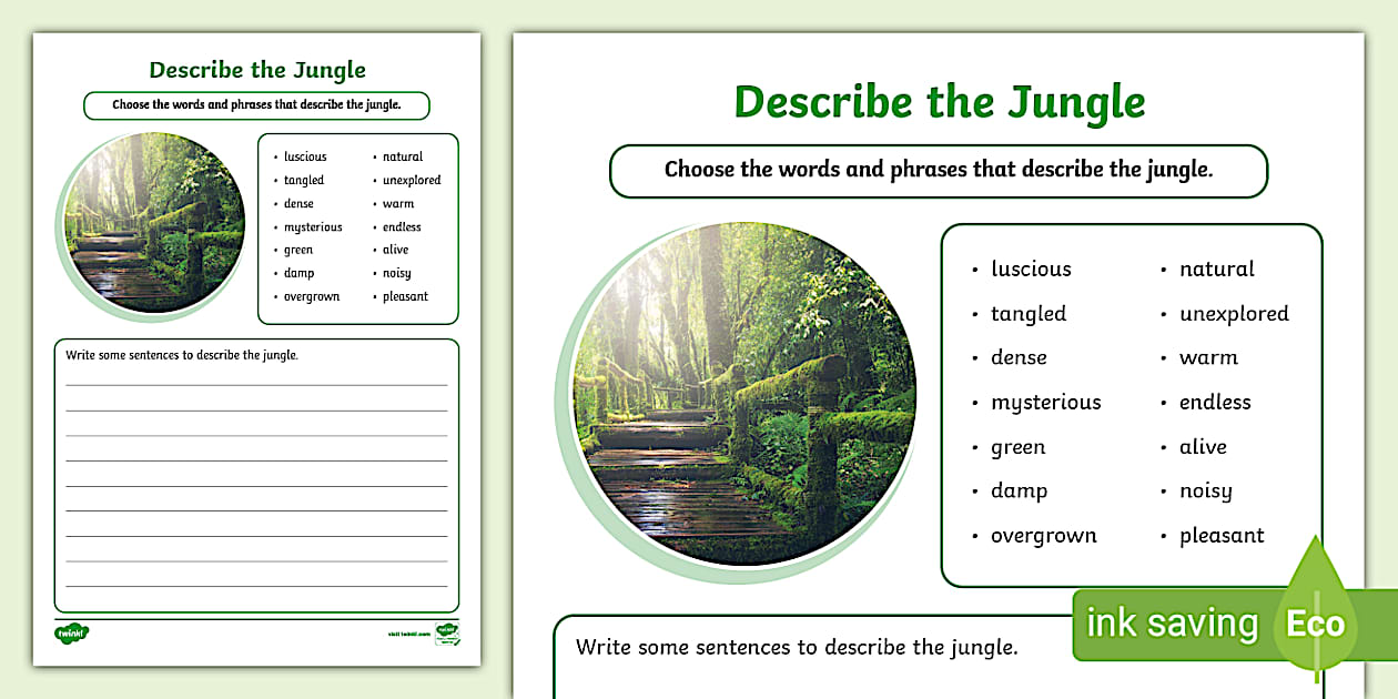 Describe the Jungle Writing Activity, Jungle Adjectives