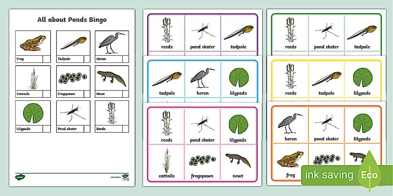 All about Ponds Bingo Cards Junior/ Senior Infants - Twinkl