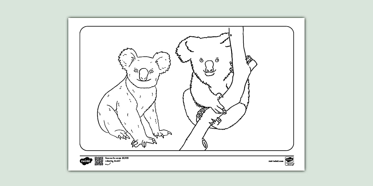 Two Koalas Colouring | Colouring Sheets (teacher made)
