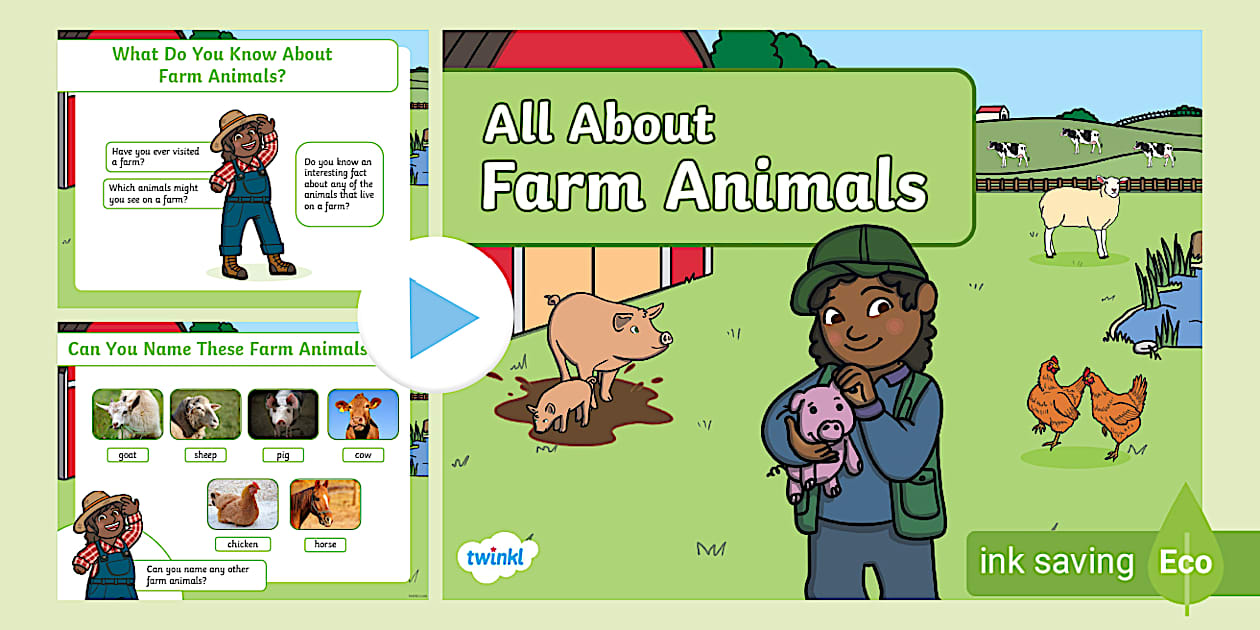 All About Farm Animals PowerPoint | Twinkl - Twinkl