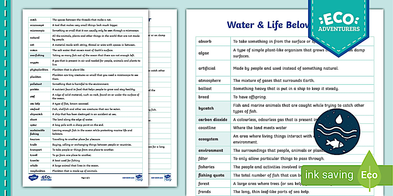 Year 3 Water & Life Below Water: Key Vocabulary Glossary