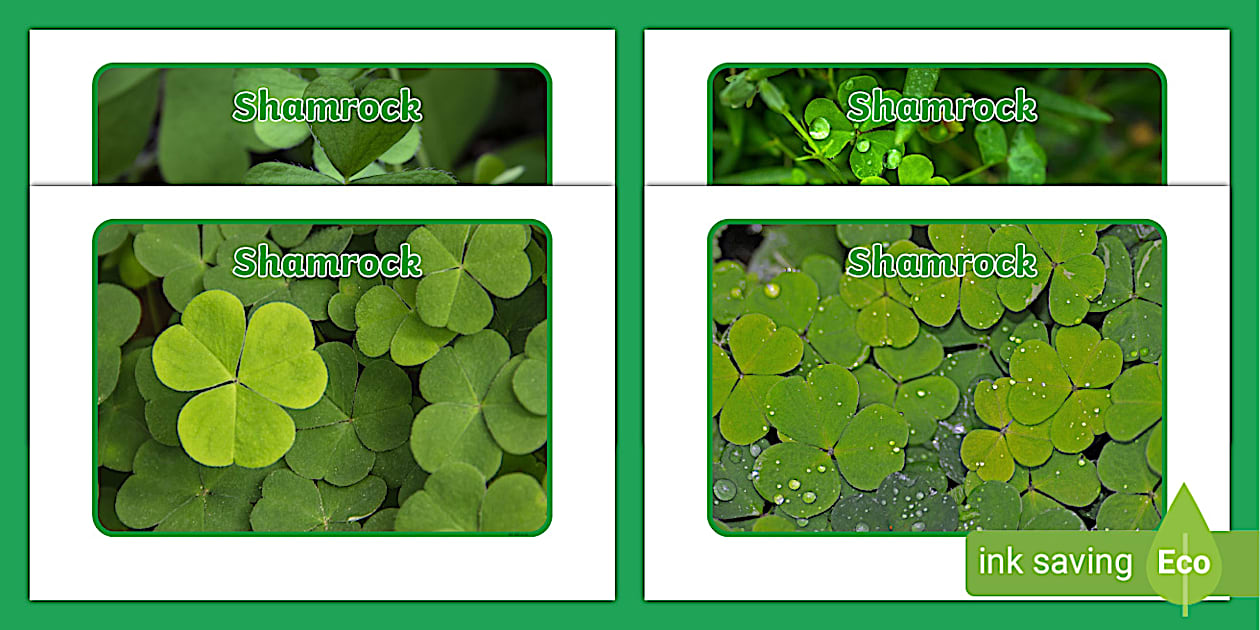 Shamrock Photo Pack (teacher made) - Twinkl