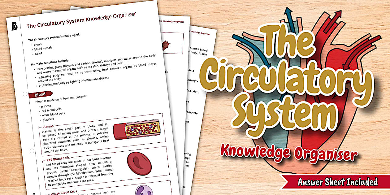 The Circulatory System Knowledge Organiser