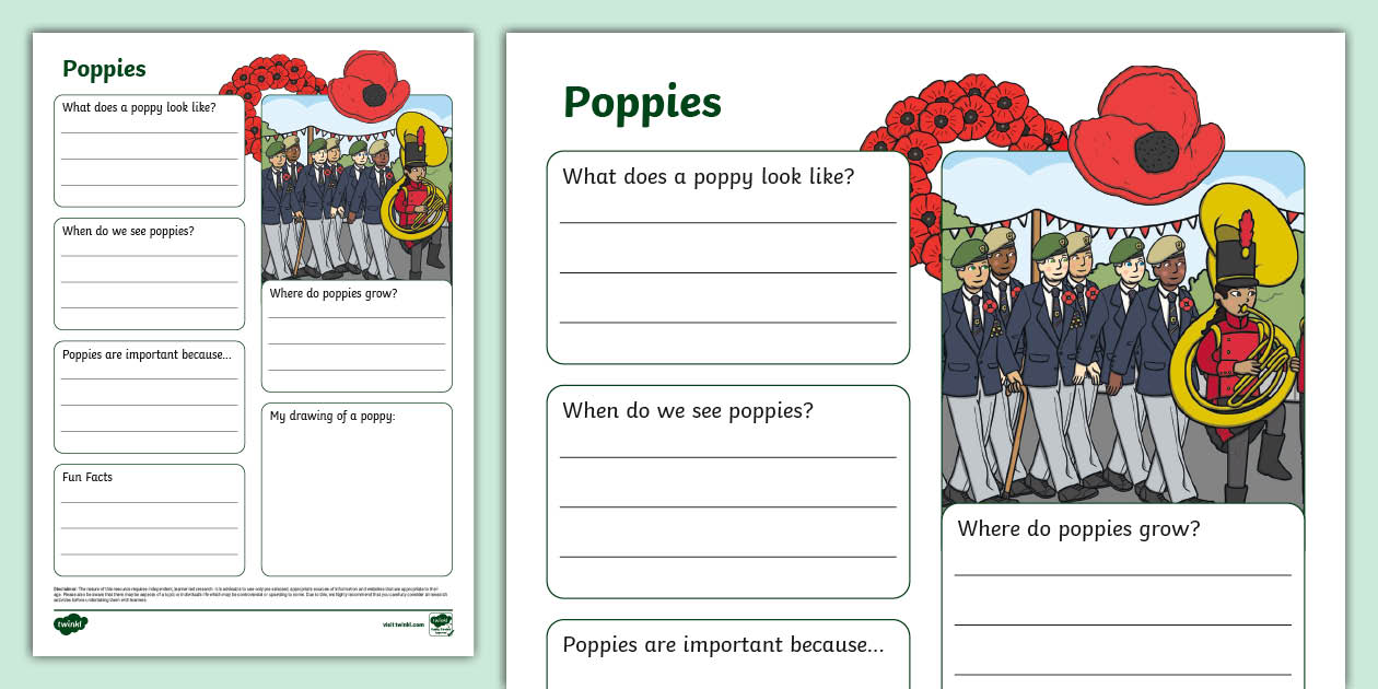 Poppies Fact File Template - Twinkl Templates (teacher made)