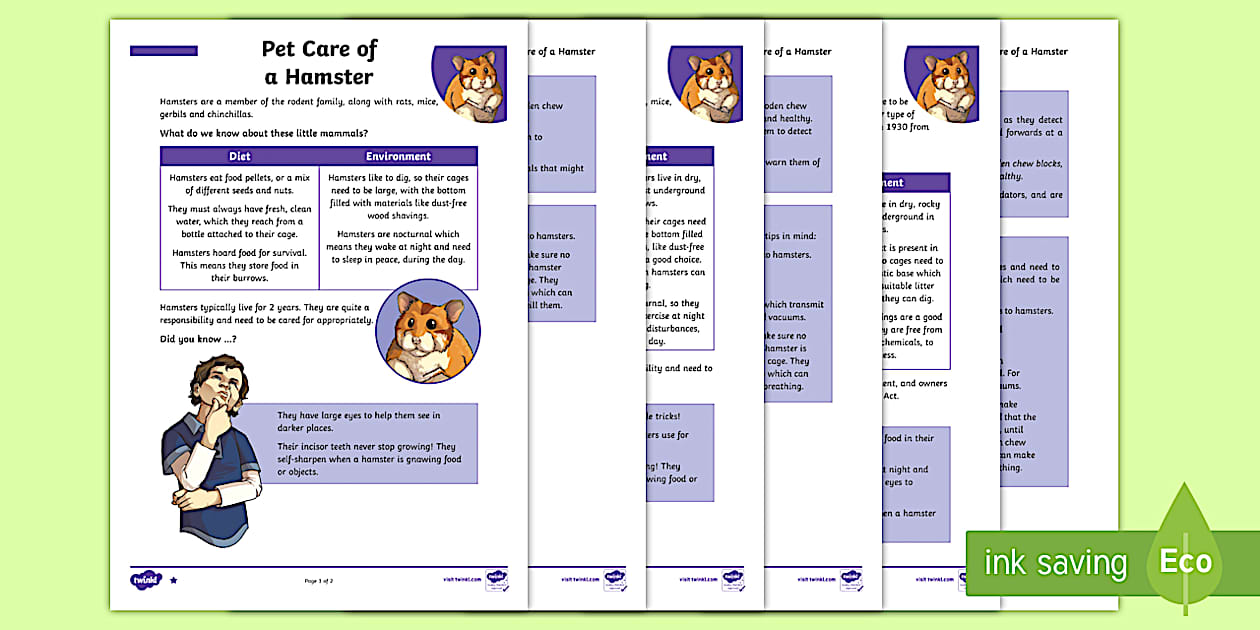 KS2 Pet Care of a Hamster Differentiated Fact File - Twinkl