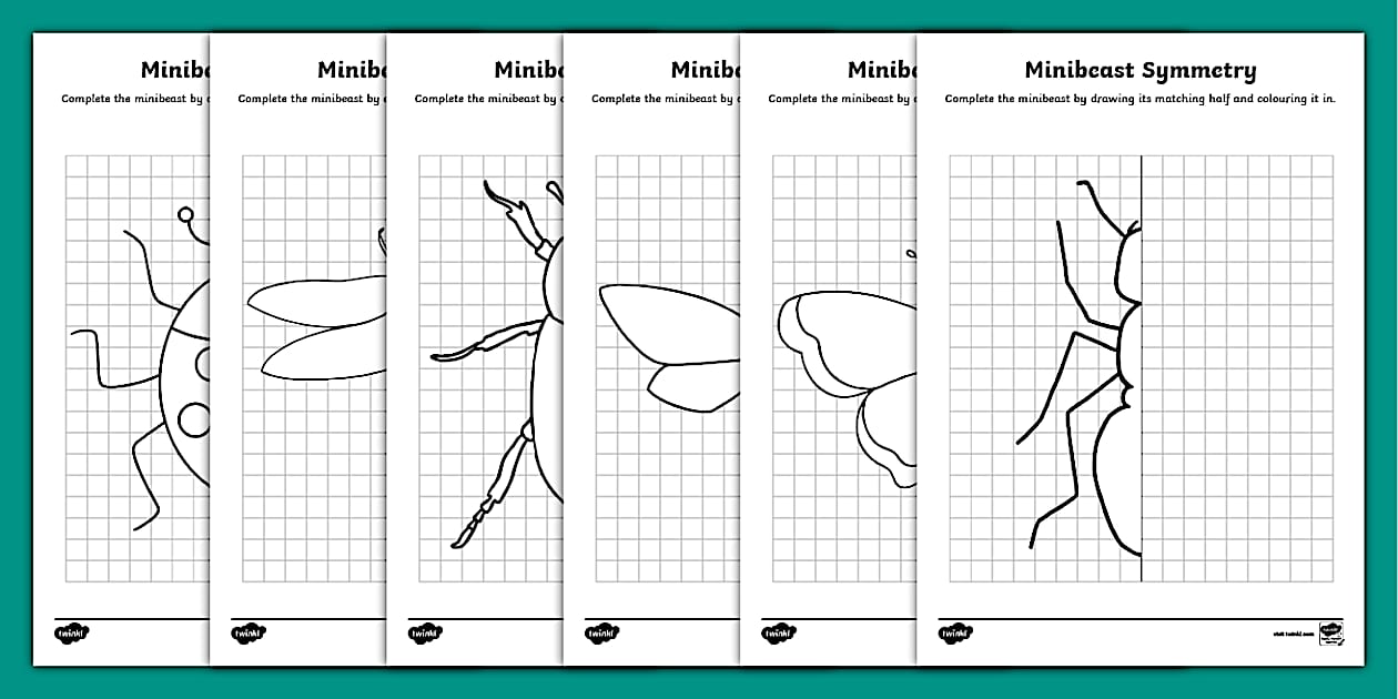 👉 Minibeast Symmetry Activity - Twinkl - KS1 - Twinkl