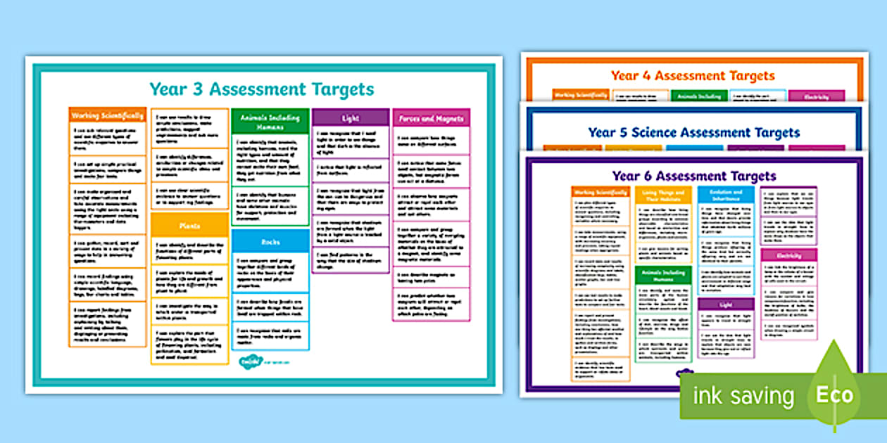 Year 3-6 Science Assessment Display Posters (teacher made)