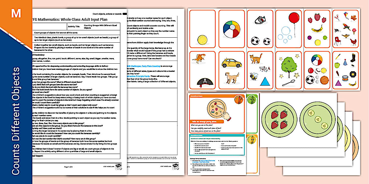 Counting Groups with Different Objects Adult Input Plan