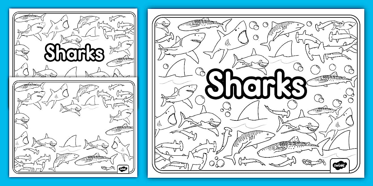 Let's Doodle! Sharks Coloring Sheets (teacher made) - Twinkl