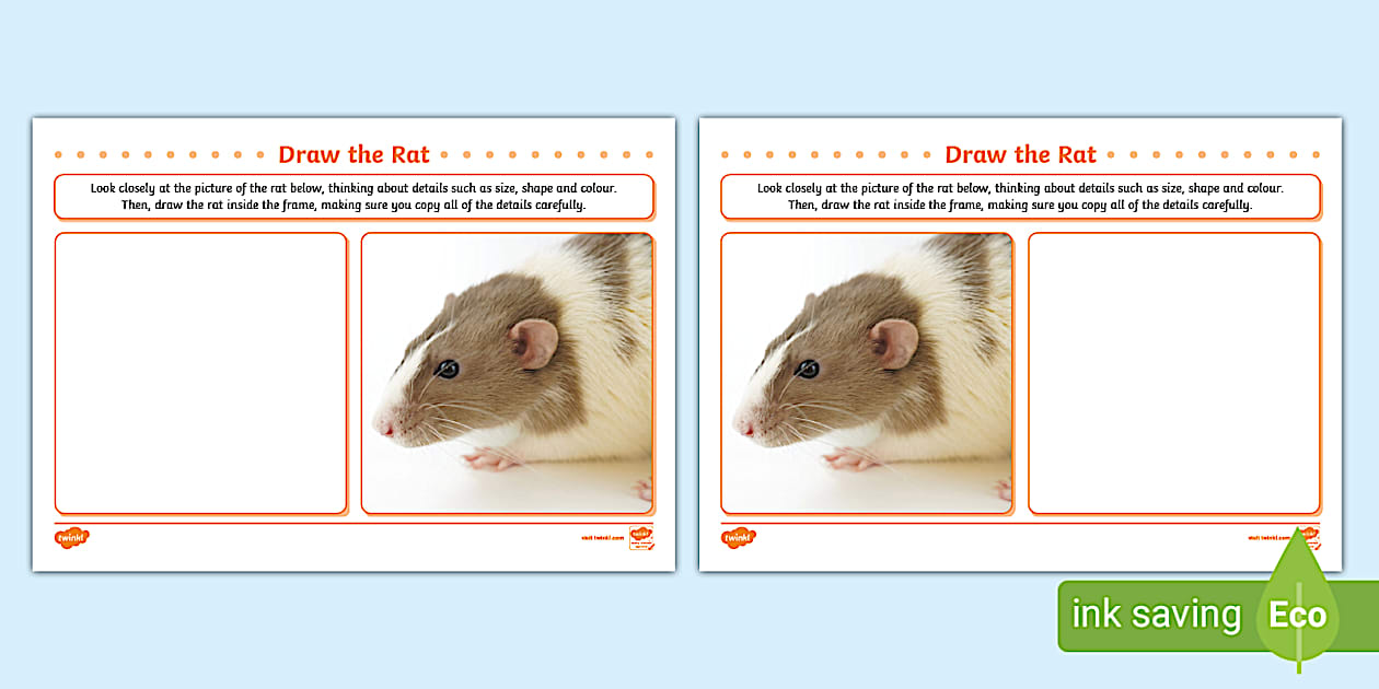 Draw the Rat Art Activity, How to draw a rat (teacher made)