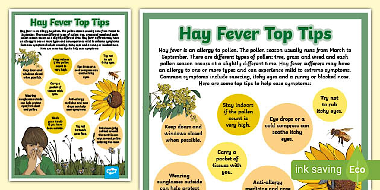 Hay Fever Information Poster (teacher made) - Twinkl