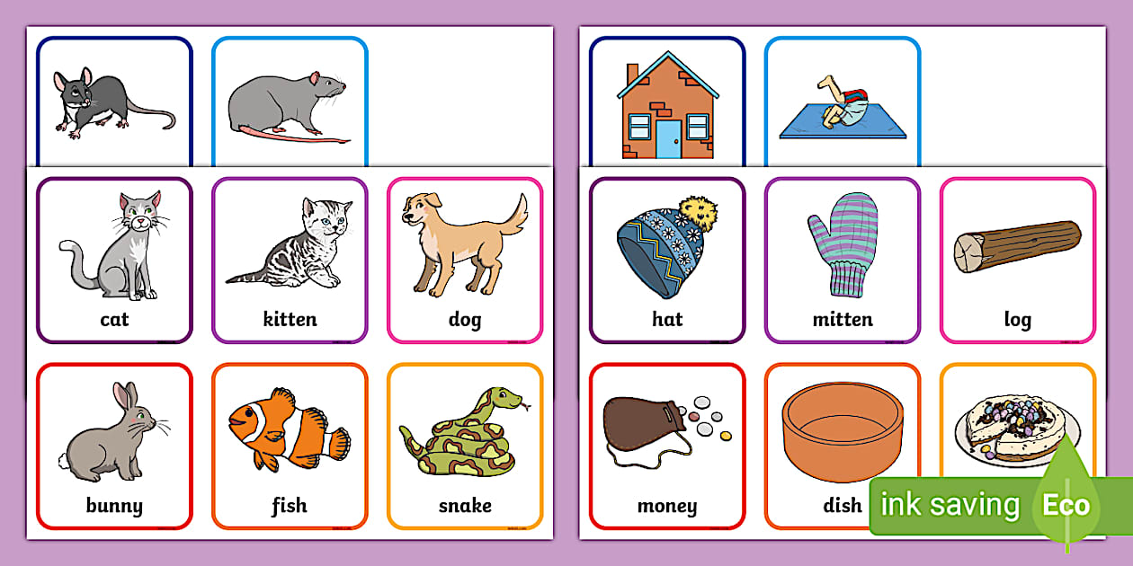 Pet Pairs Rhyming Cards (teacher made) - Twinkl