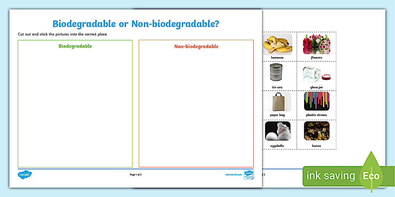 Biodegradable and Non-Biodegradable Waste Sorting Activity