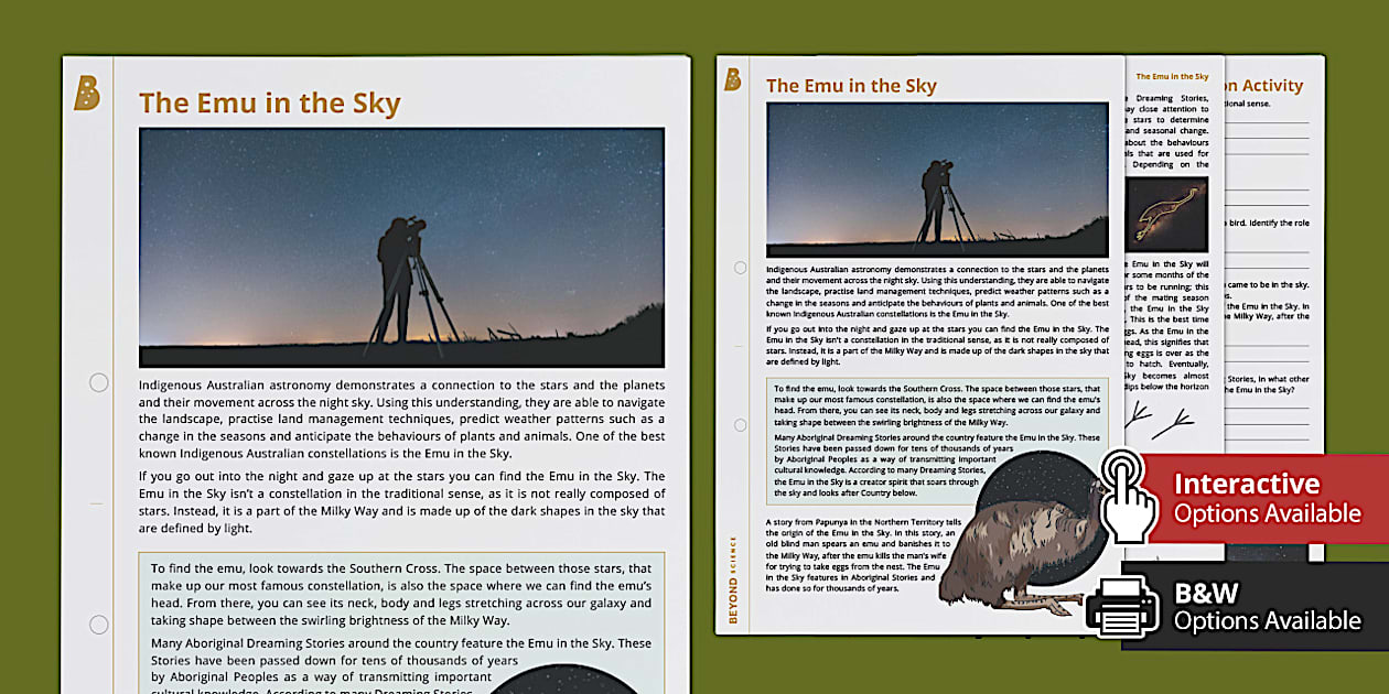 The Emu in the Sky Reading Comprehension (teacher made)
