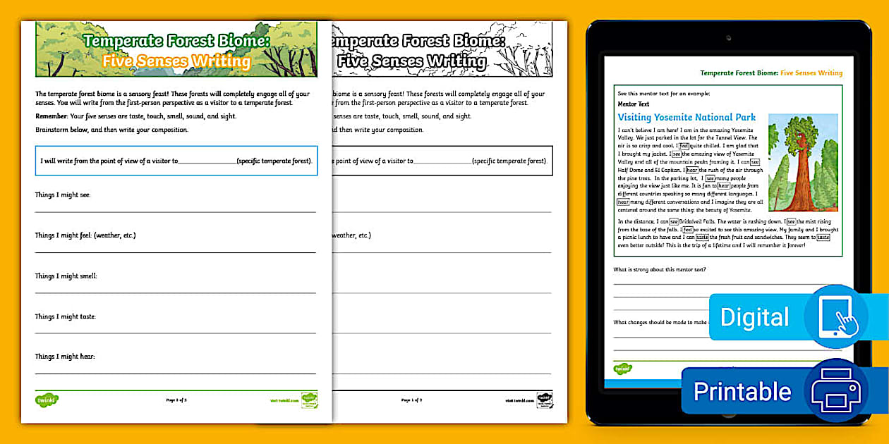 Temperate Forest Biome Five Senses Writing Worksheet