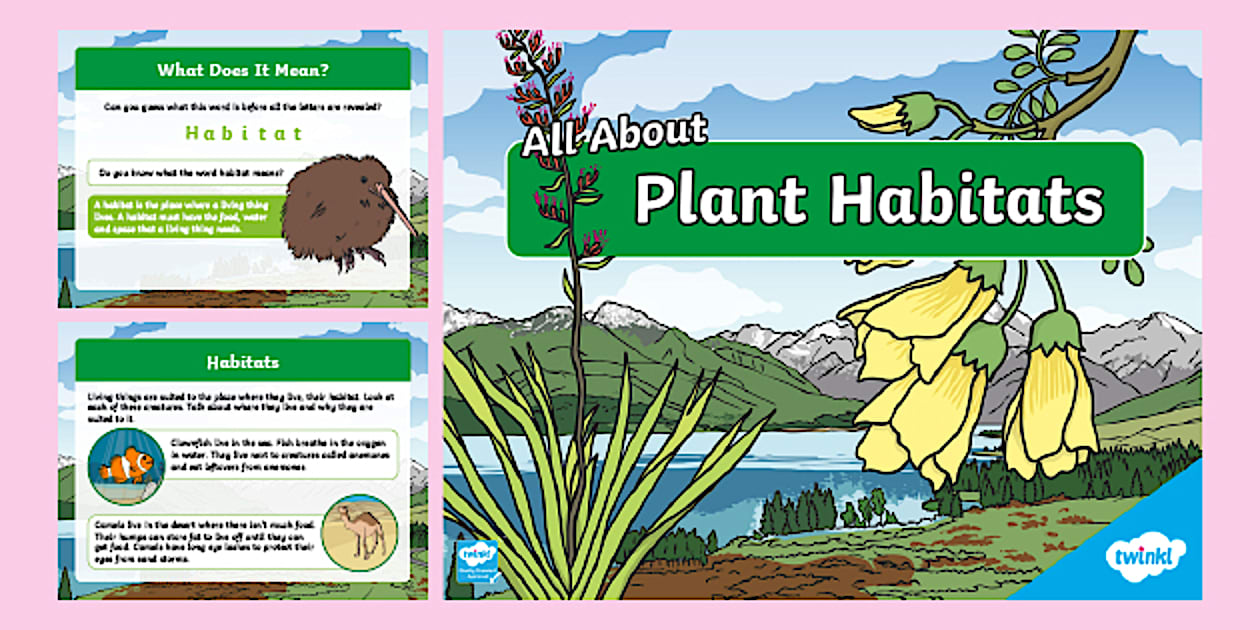 All About Plant Habitats PowerPoint (Teacher-Made) - Twinkl