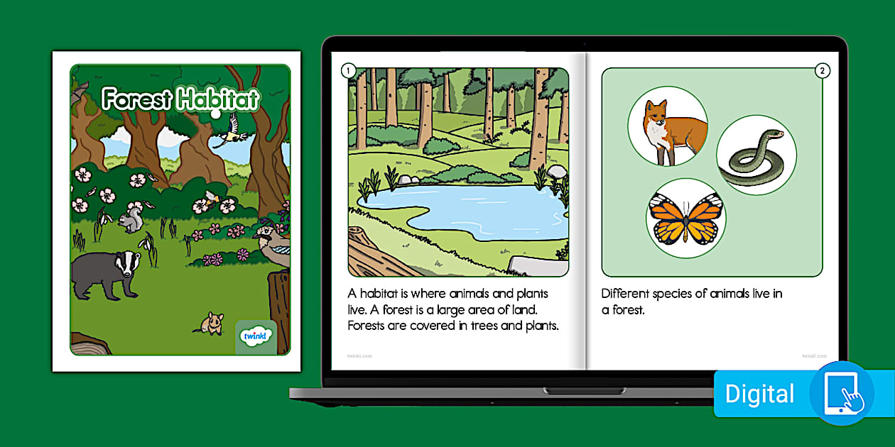 Forest Habitat Emergent Reader eBook (teacher made) - Twinkl