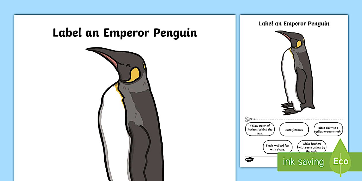 Editable Label an Emperor Penguin Worksheet - Twinkl