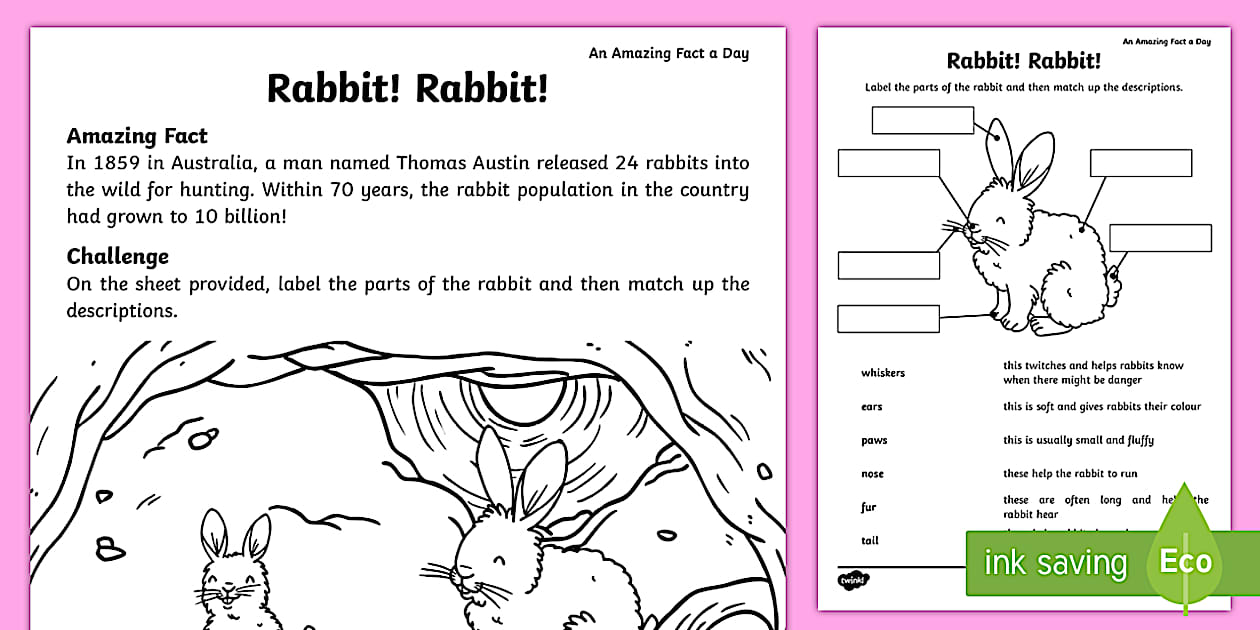 Rabbit! Rabbit! Worksheet / Worksheet (teacher made)