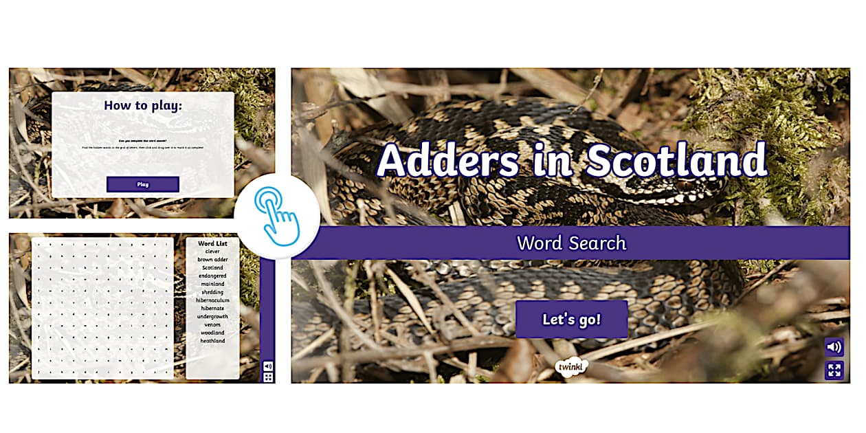 Adders in Scotland Interactive Word Search (teacher made)