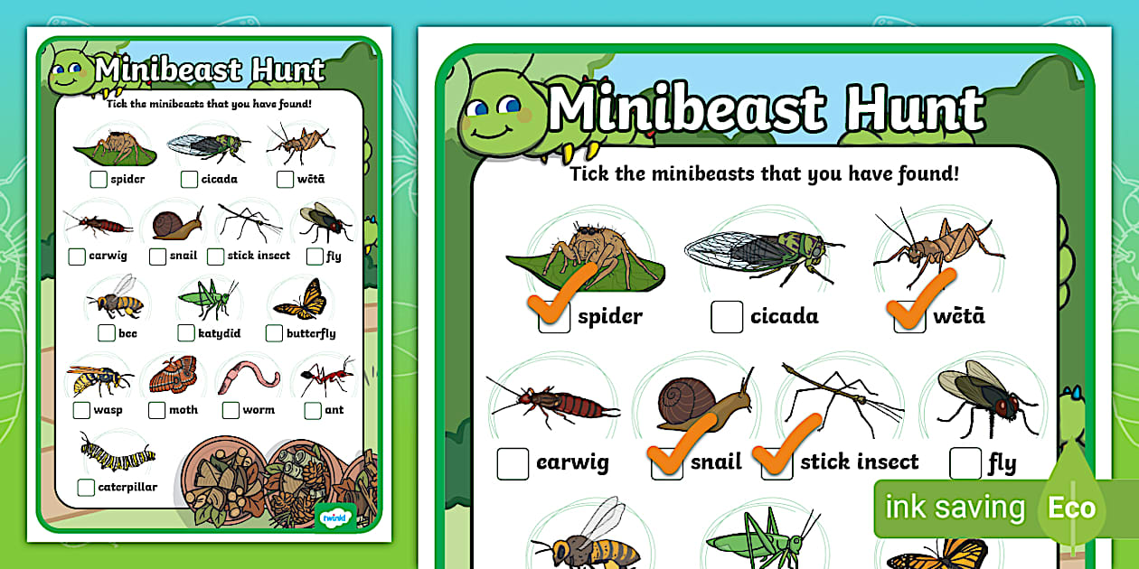 New Zealand Minibeast Hunt Checklist (teacher made) - Twinkl