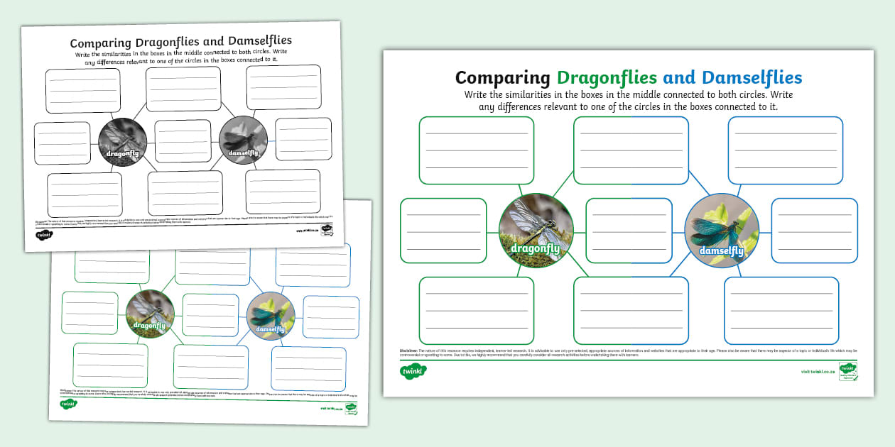 Dragonfly and Damselfly Comparison Mind Map - Twinkl